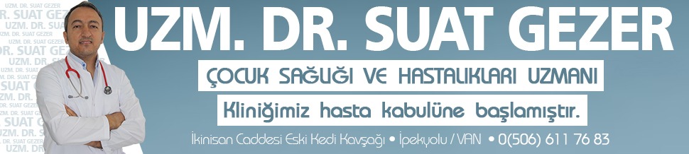 Van Gölü'nün Eşsiz Güzelliği: Van Şehri Gezi Rehberi - Van Haber - Van ...